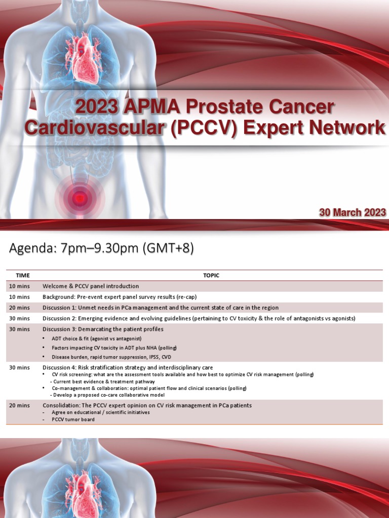 2023 Pca CV Expert Panel Virtual Meeting - Pre-Read | PDF ...