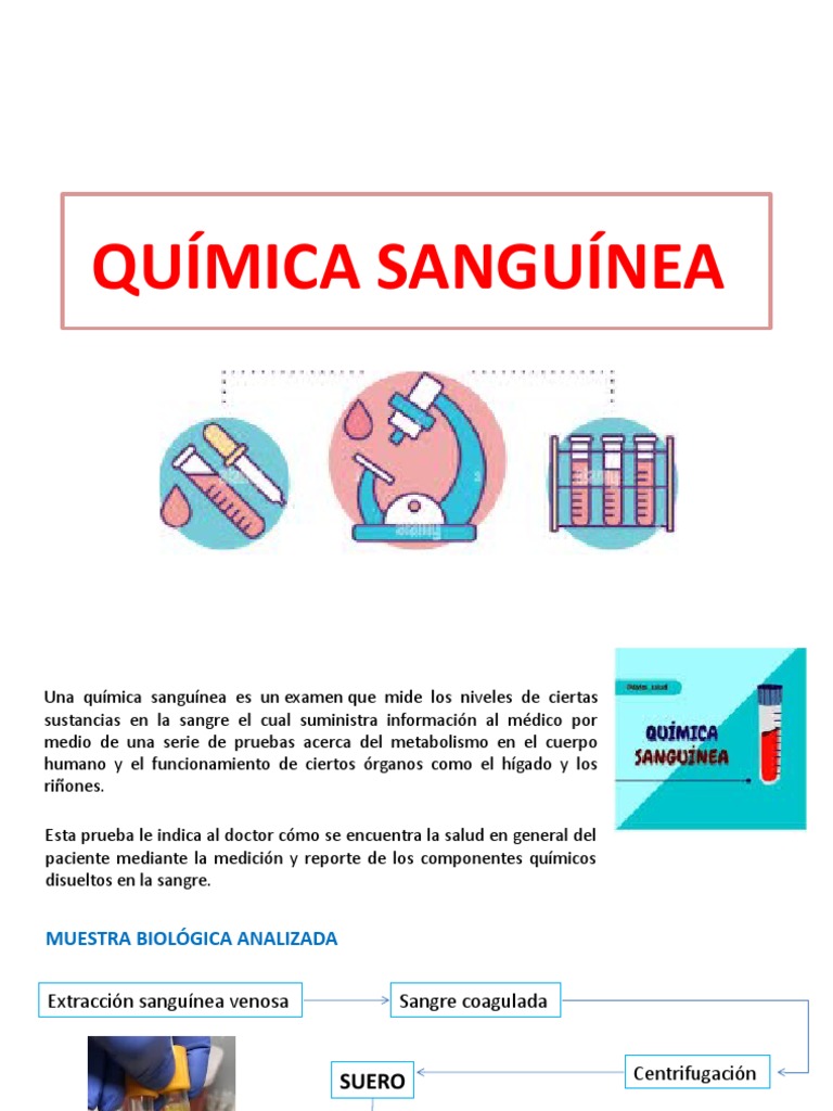 Guía de Química Sanguínea y Pruebas | PDF | Sangre | Gota