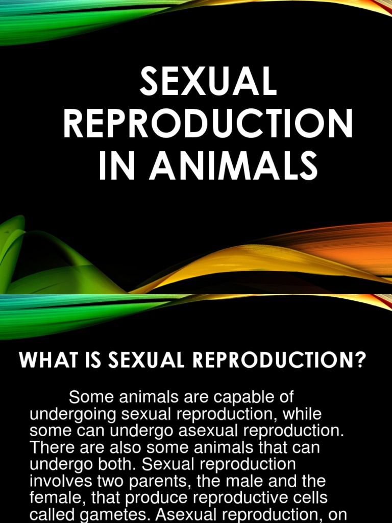 Sexual Reproduction Grade 10 | PDF | Fertilisation | Sperm