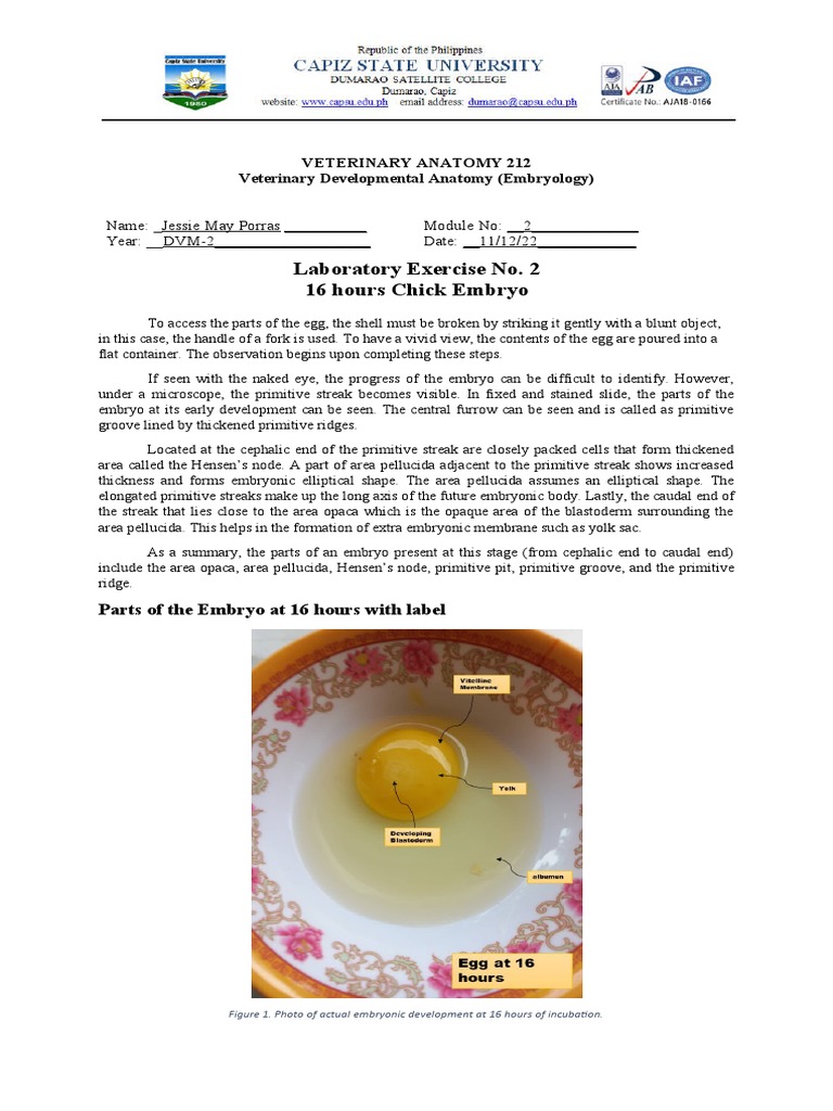 Laboratory 2 (16hrs) | PDF