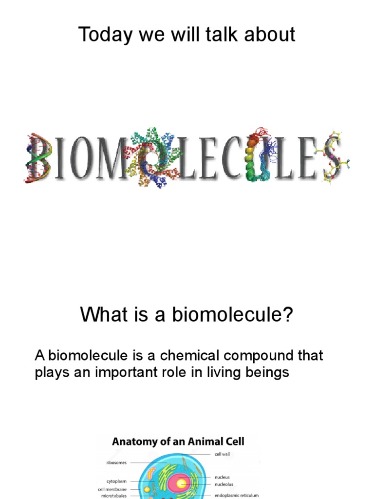 Power Point Biomolecole | PDF | Carbohydrates | Rna