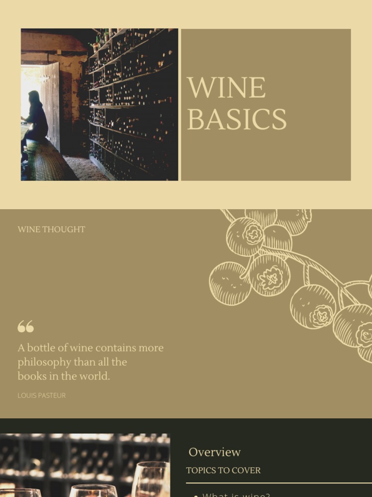 FW - Wine Basics Training | PDF | Wine | Grape