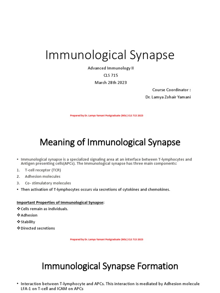 CLS 715 Immunological Synapse 2023 | PDF | T Cell | Neurochemistry