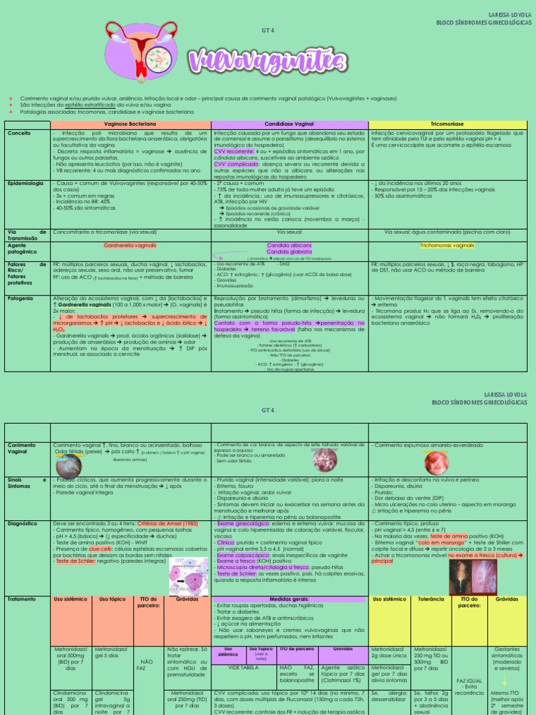 GT CORRIMENTO VAGINAL ANORMAL | PDF | Vagina | Epidemiologia