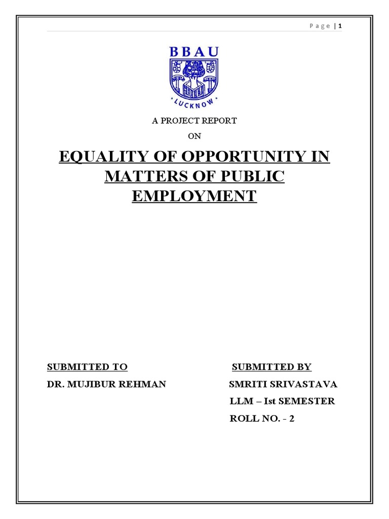 Constitution Project | PDF