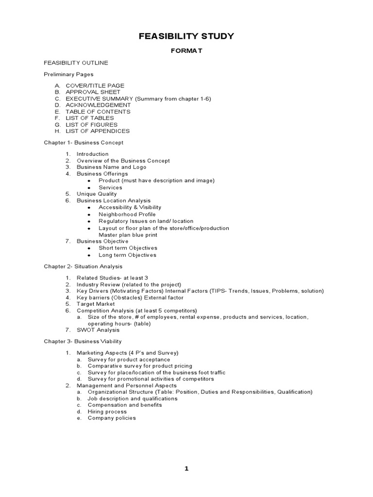 Format Feasibility Study | PDF | Income Statement | Business