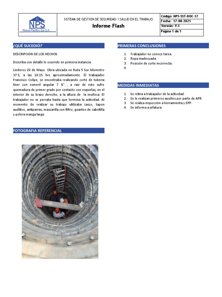 Informe Flash Francisco Colipe | PDF