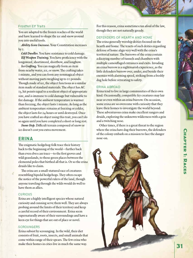 Erina Race DND | PDF