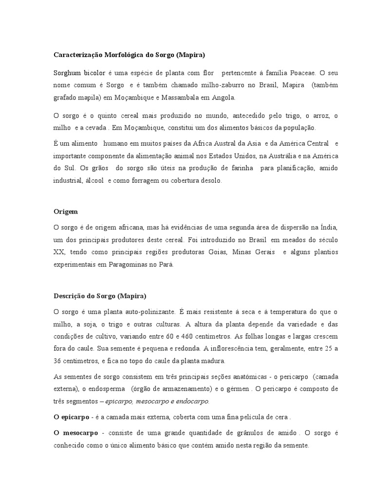 Caracterização morfológica e tipos do sorgo (Mapira), importante cereal ...