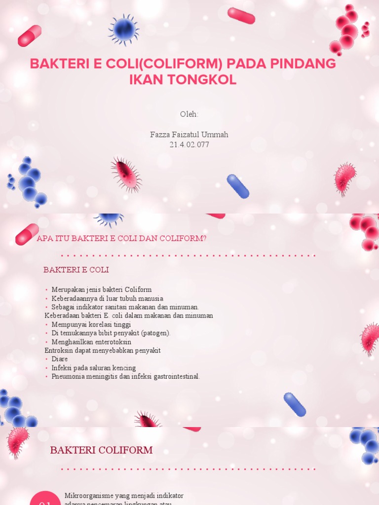 11.fazza Faizatul Ummah - PPT E Coli | PDF | Sains & Matematika