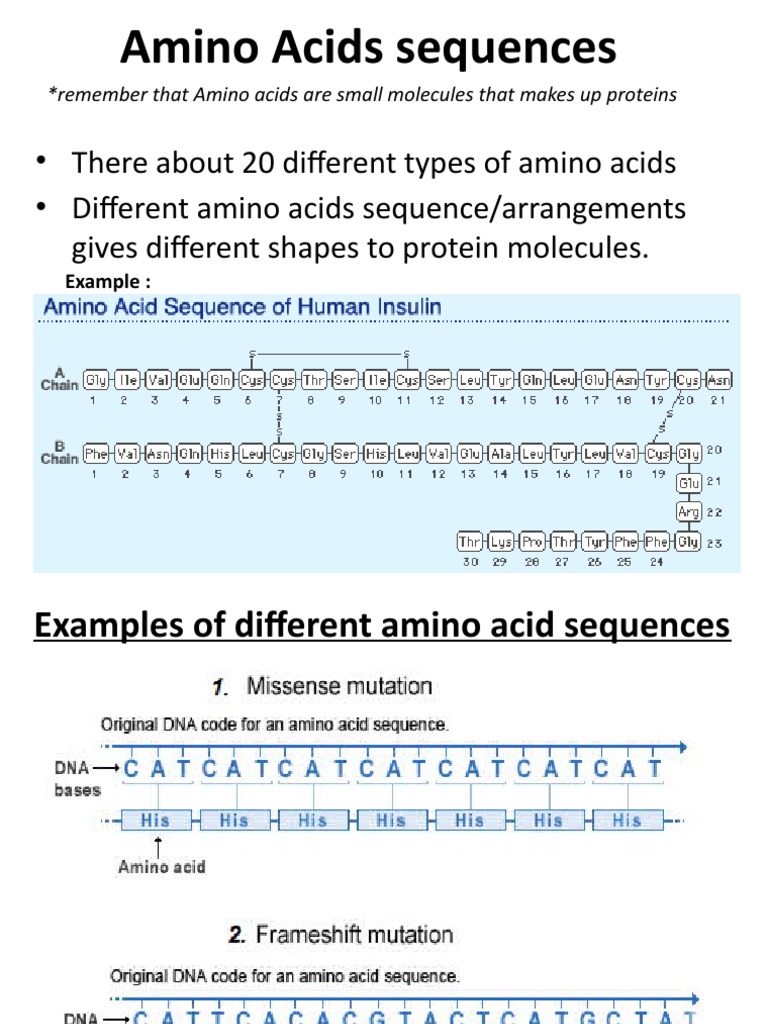 Amino Acid Sequence and DNA Structure | PDF