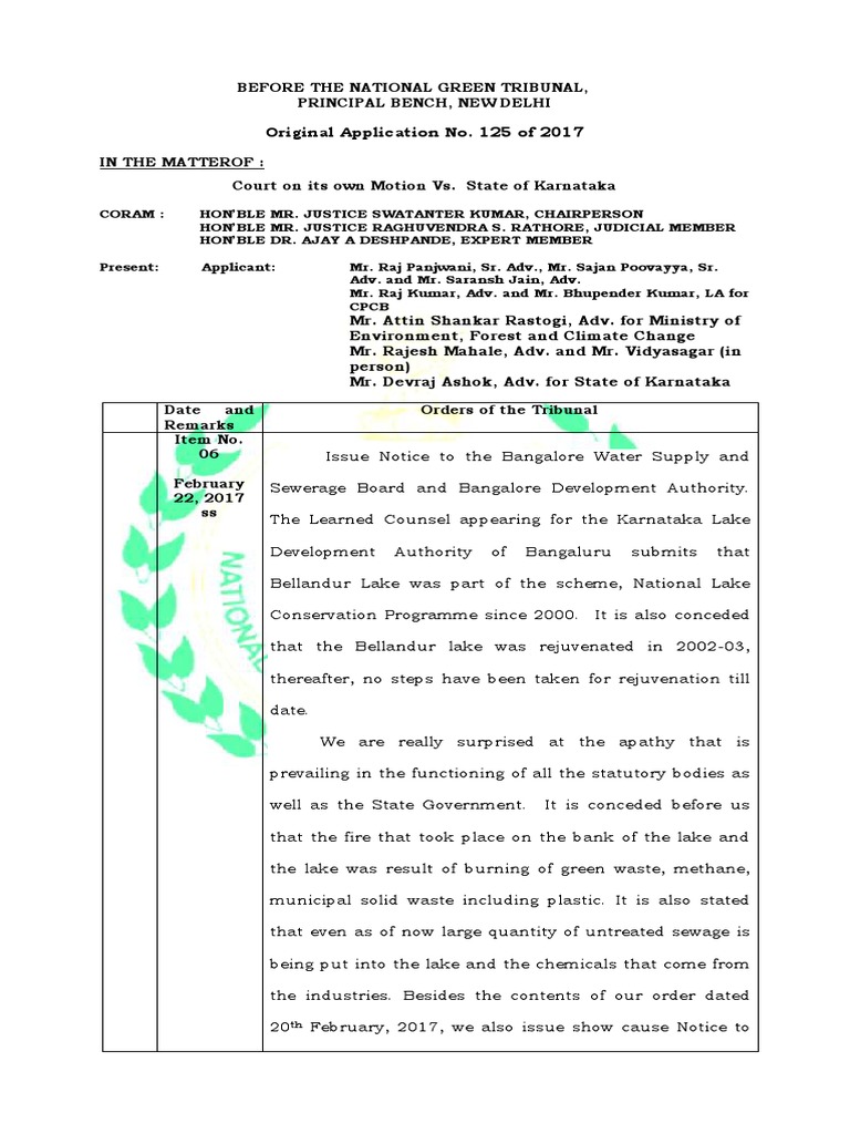 Bellandur NGT Case 3 | PDF | Justice | Crime & Violence