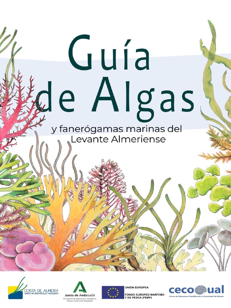 Guía de algas y fanerógamas marinas | PDF | Algas | Organismos