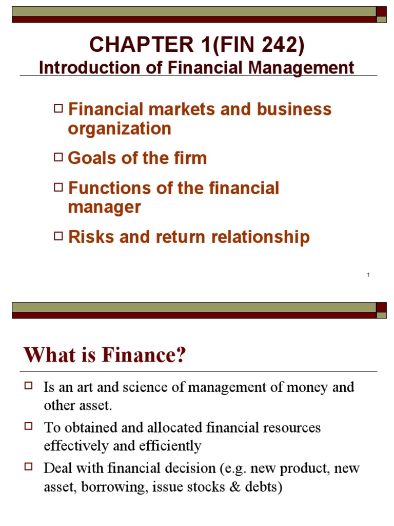 Chapter 01 Introduction | PDF | Financial Risk | Capital Asset Pricing ...