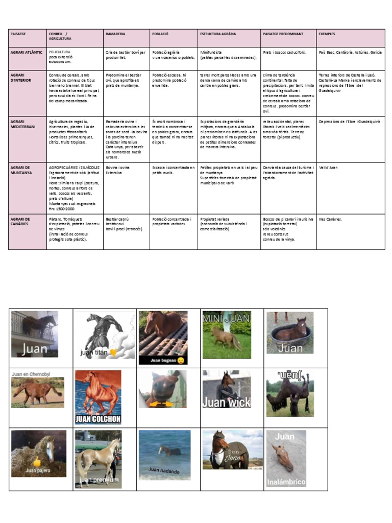 Quadre Resum 166-170 | PDF