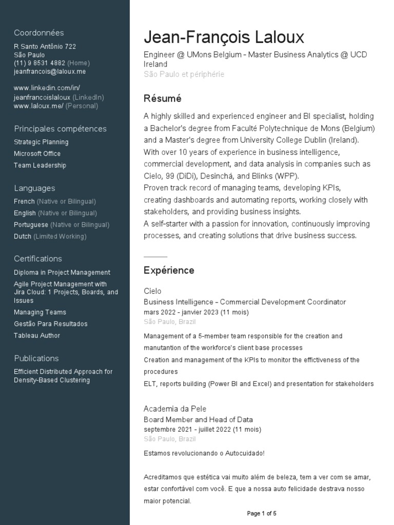 CV - Jean Francois Laloux | PDF | Business Intelligence | Computing