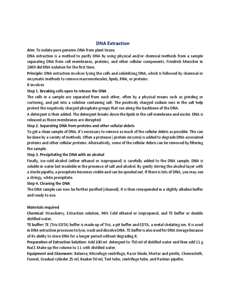Estimation & Extraction of DNA | PDF | Dna | Proteins