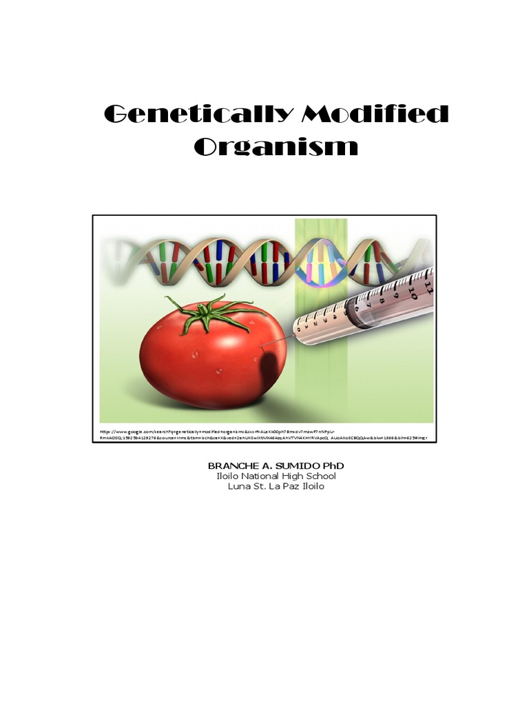 GMO Lesson for STEM Students | PDF | Genetically Modified Organism ...
