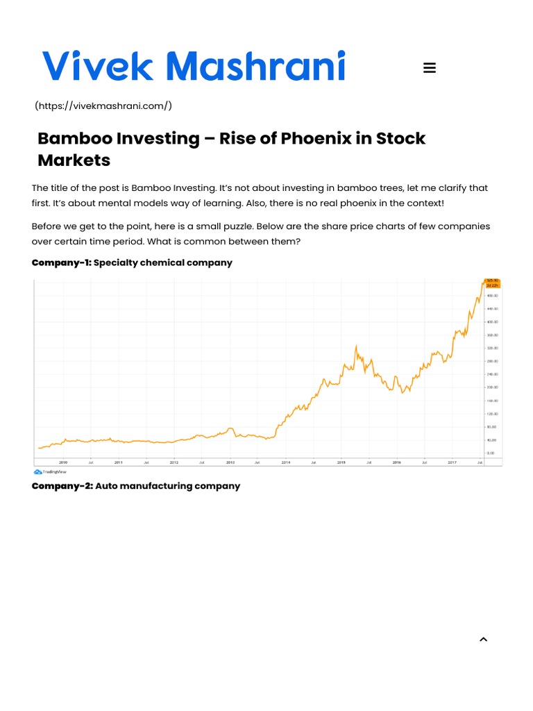 Bamboo Investing: Stock Growth Strategy | PDF | Stocks | Investing