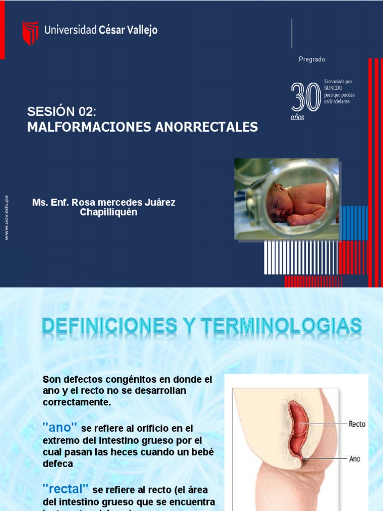 Malformaciones Anorrectales en Neonatos | PDF | Recto | Sexo anal