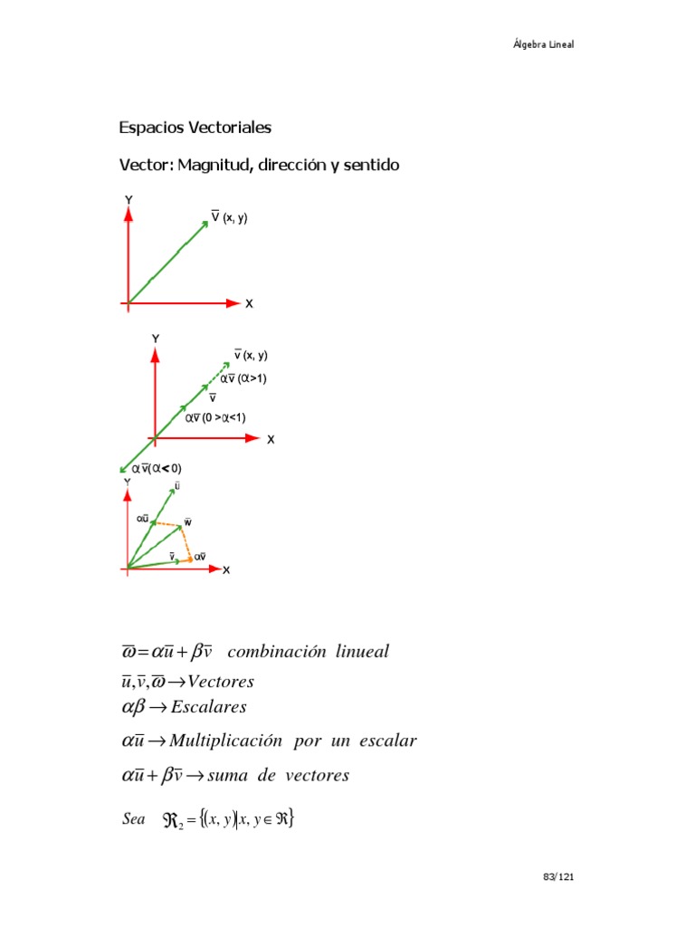 Algebra Lineal - Espacios Vectoriales | PDF Algebra Lineal - Espacios Vectoriales | PDF