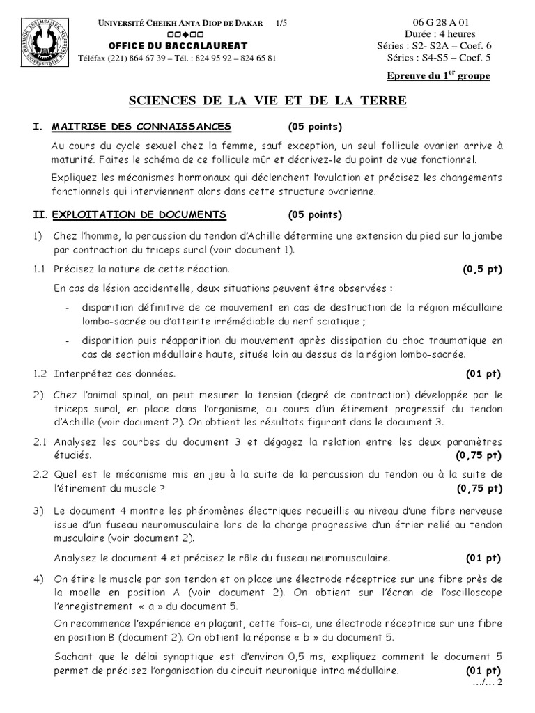 Annale SVT S2 | Descargar gratis PDF | Dominance (Génétique) | Potentiel postsynaptique excitateur