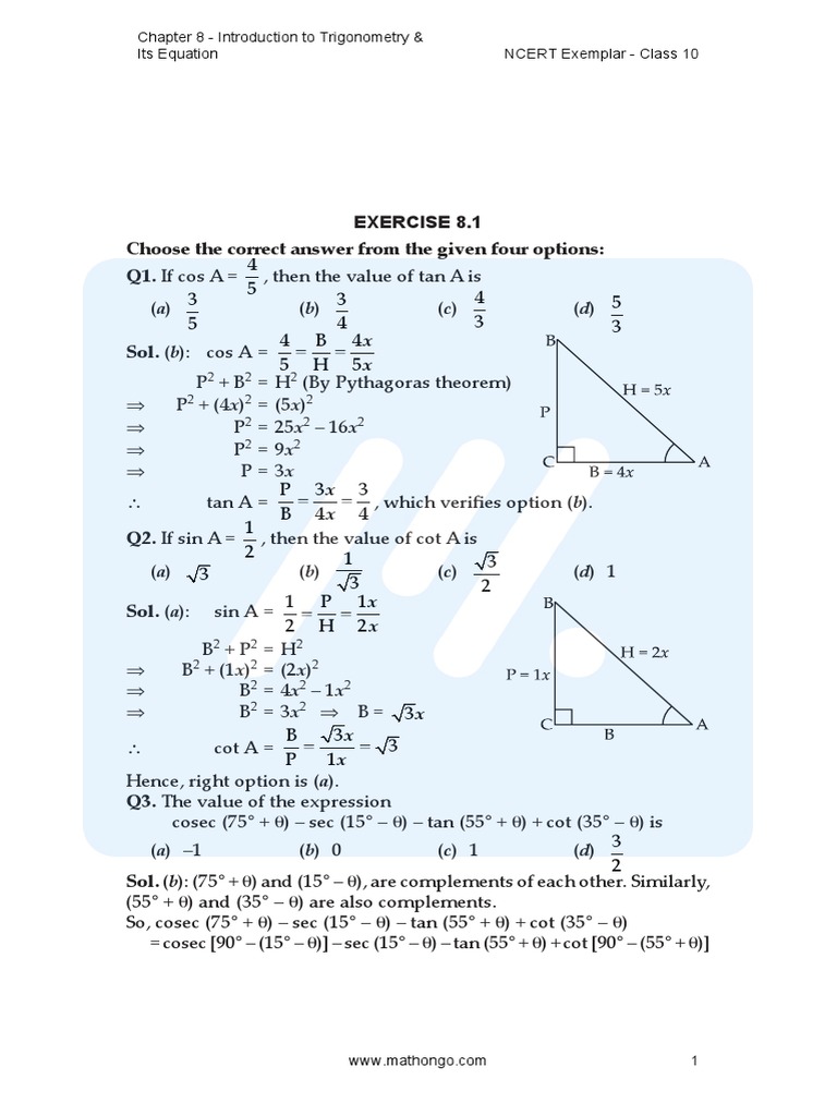 Class 10 Trigonometry Questions | PDF | Trigonometric Functions ...