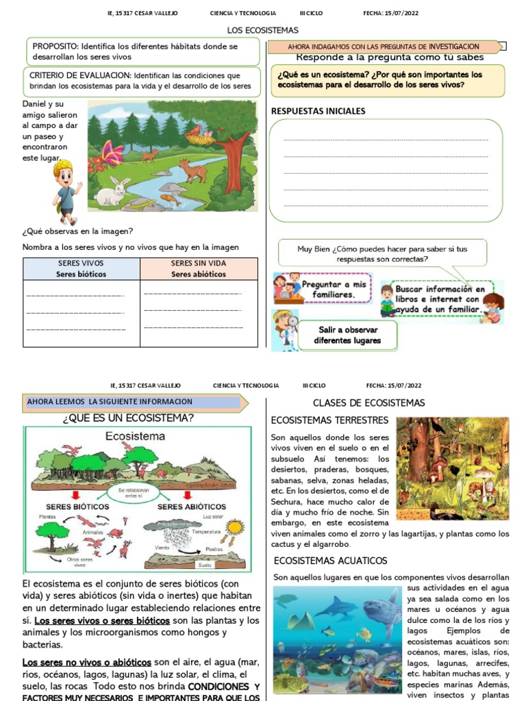 Los Ecosistemas | PDF | Ecosistema | Ecosistema acuático