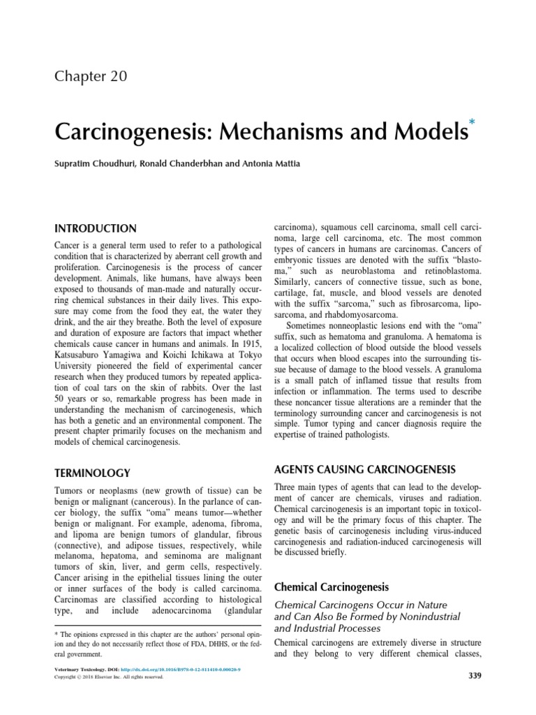 (Buku) Mekanisme Karsinogenesis | PDF | Dna Repair | Carcinogen