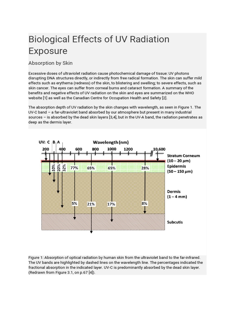 Biological Effects of UV Radiation Exposure | PDF