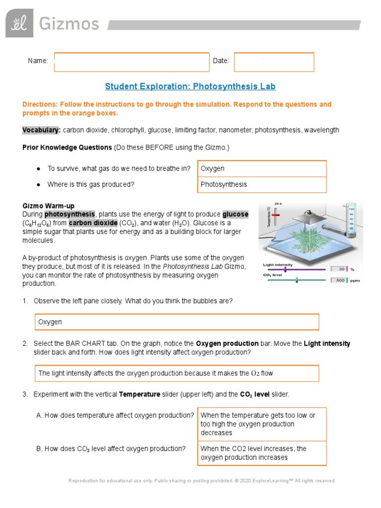 Kami Export - ALEXA CADENA - PhotosynthesisLabSE - Google Doc Version ...