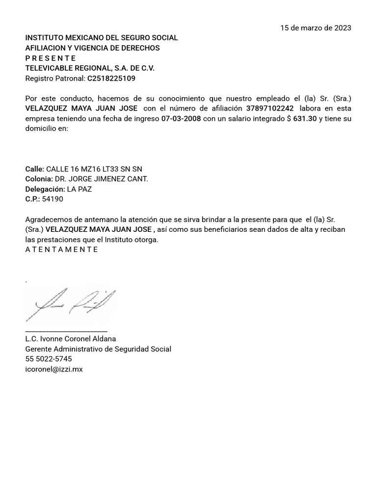 Alta Patronal IMSS: Ejemplo y Datos | PDF