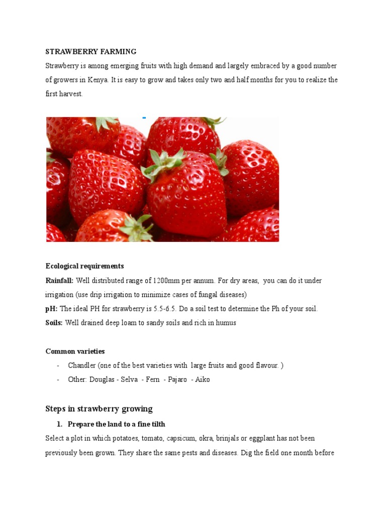 Grow Strawberries in 30 Days | PDF | Strawberry | Pest (Organism)