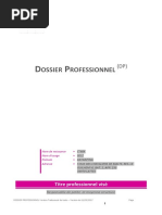 Dossier Professionnel CA v2023 | PDF