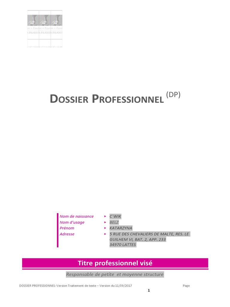Exemple Dossier Pro 2 | PDF
