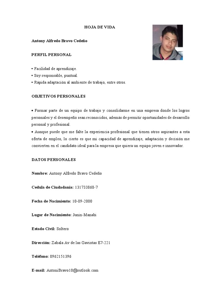 Envío de Currículum a Bravo Empleo | PDF