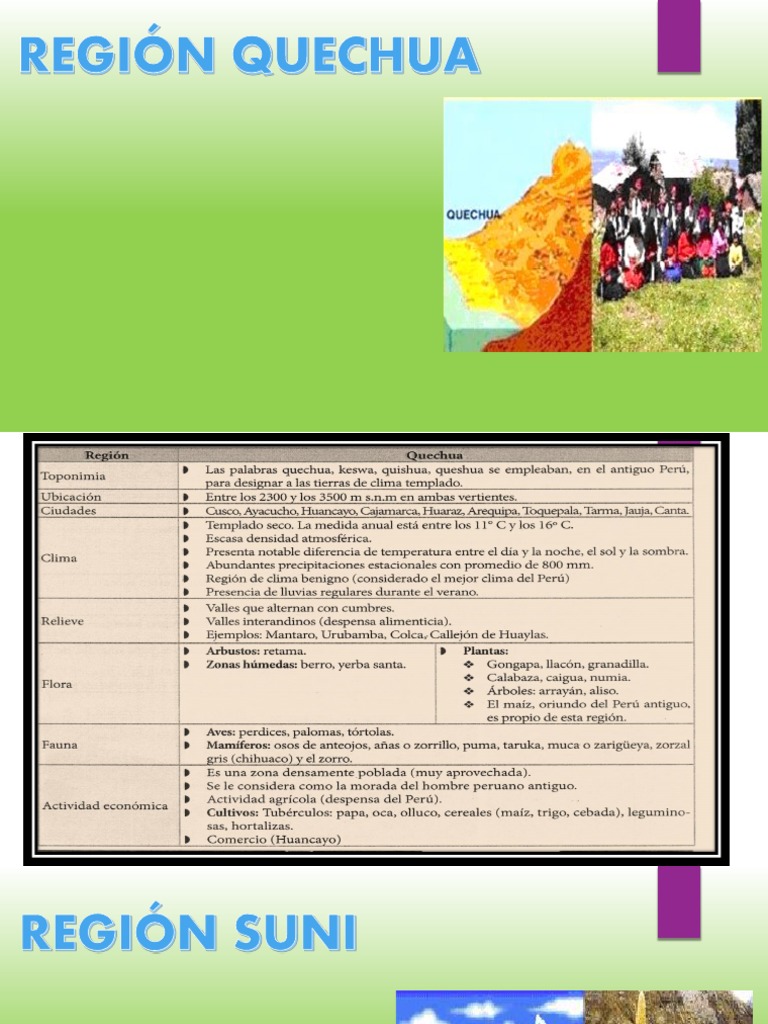 La Region Quechua y Suni | PDF