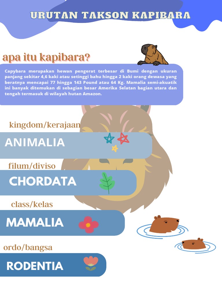 The Taxonomic Order of Capybaras | PDF
