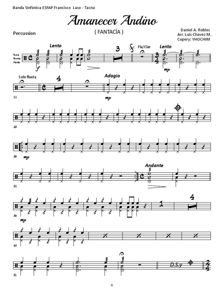 AMANECER ANDINO - Percussion | PDF