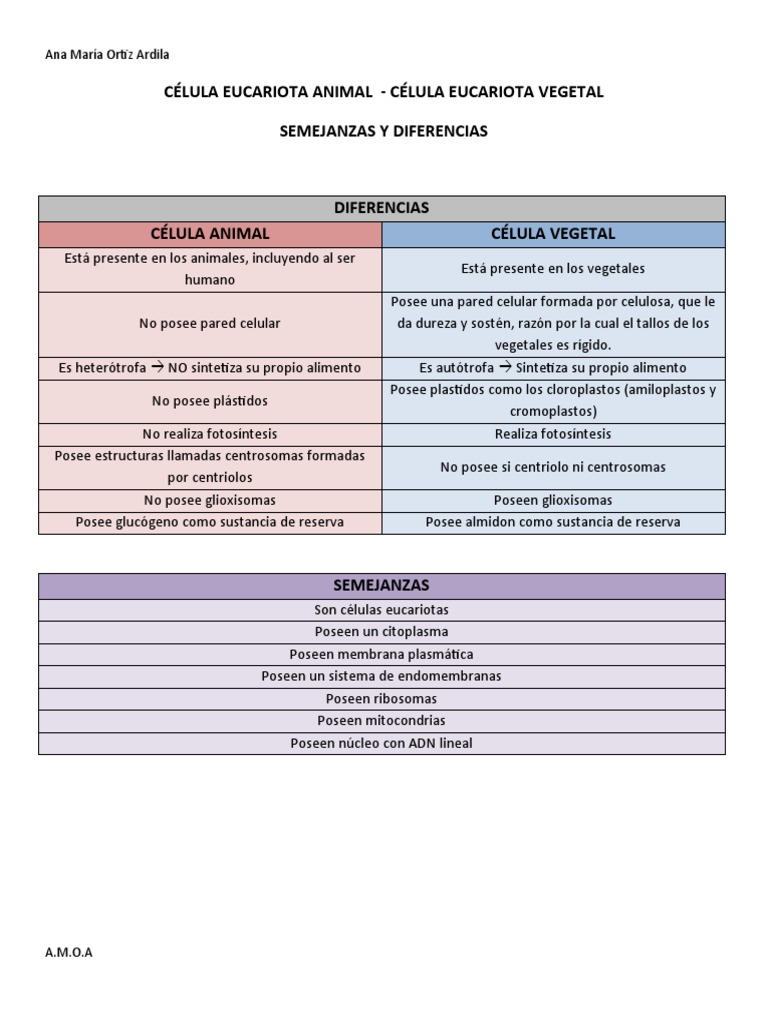 Semejanzas y Diferencias Entre CÉLULAS EUCARIOTAS | PDF