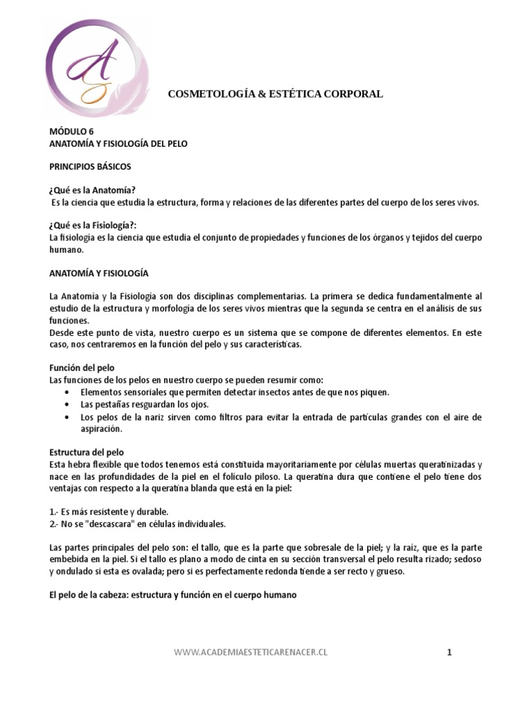 Anatomía y Fisiología del Pelo | PDF