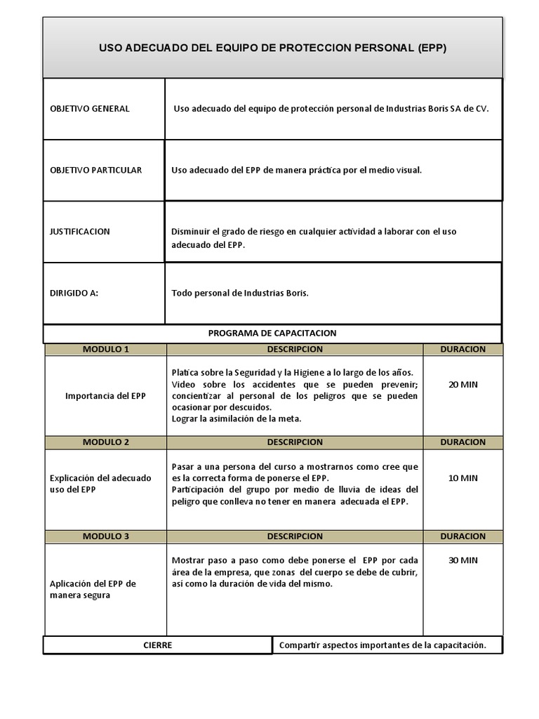 Capacitacion EPP | PDF