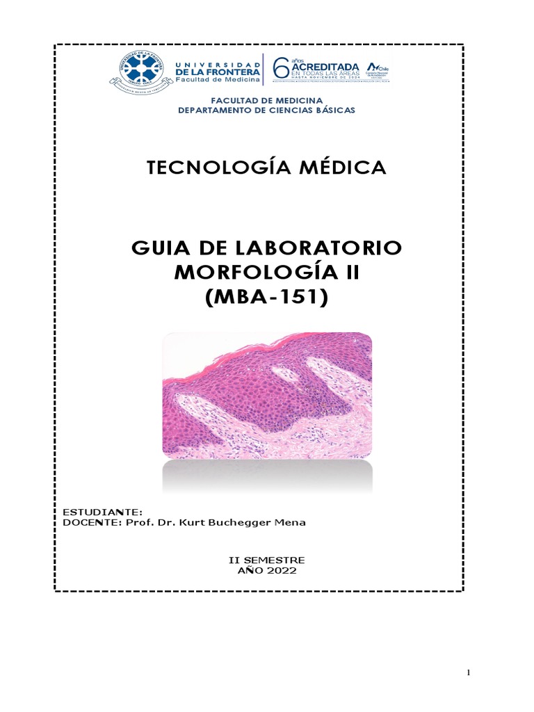 Guía de Laboratorio de Morfología II: Una Visión Integral de los ...