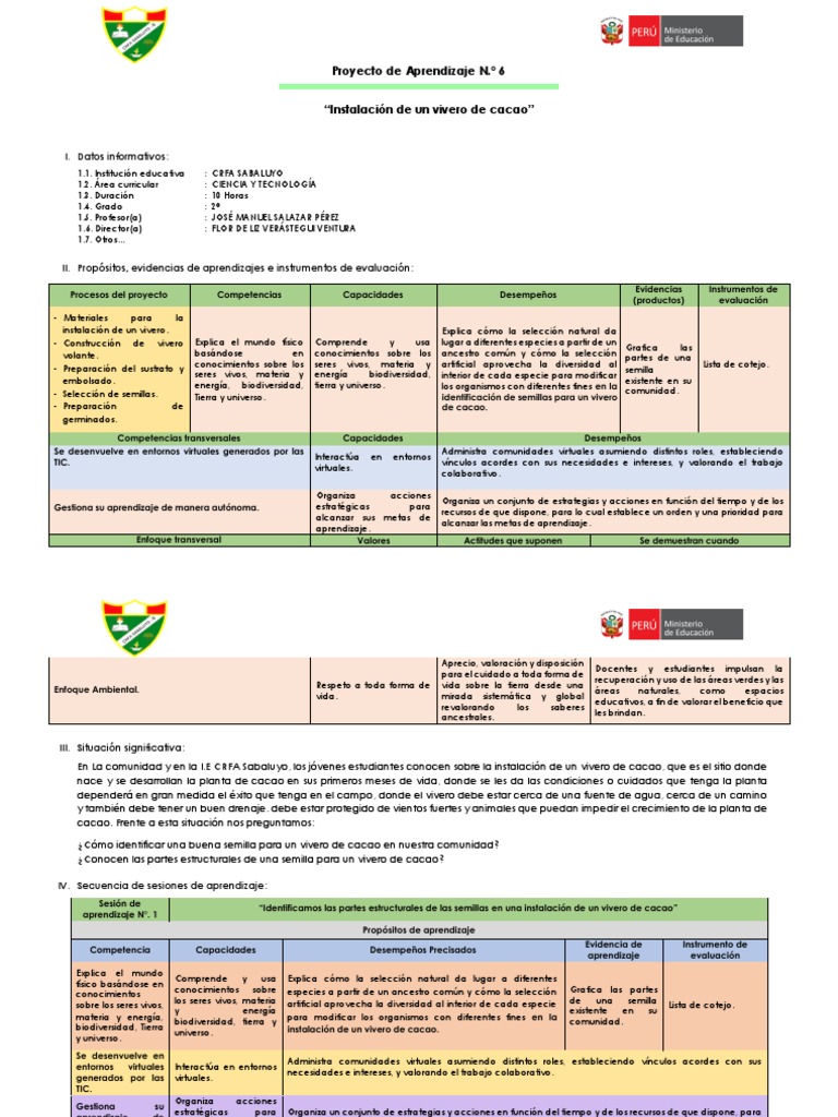 PROYECTO DE APRENDIZAJE CyT 2º | Descargar gratis PDF | Aprendizaje | Evaluación