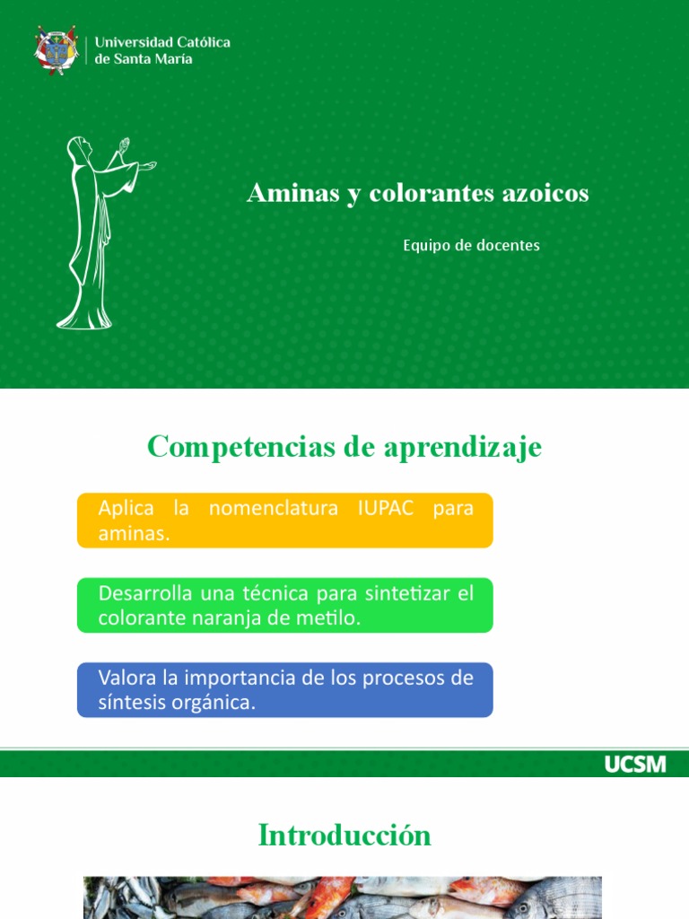 Aminas y colorantes azoicos: nomenclatura, propiedades y síntesis | PDF