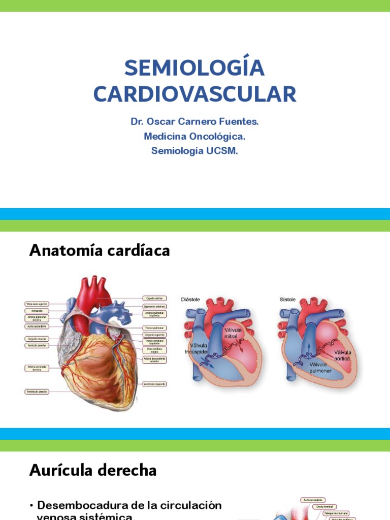 Semiología Cardiovascular | PDF | Electrocardiografia | Ventrículo (corazón)