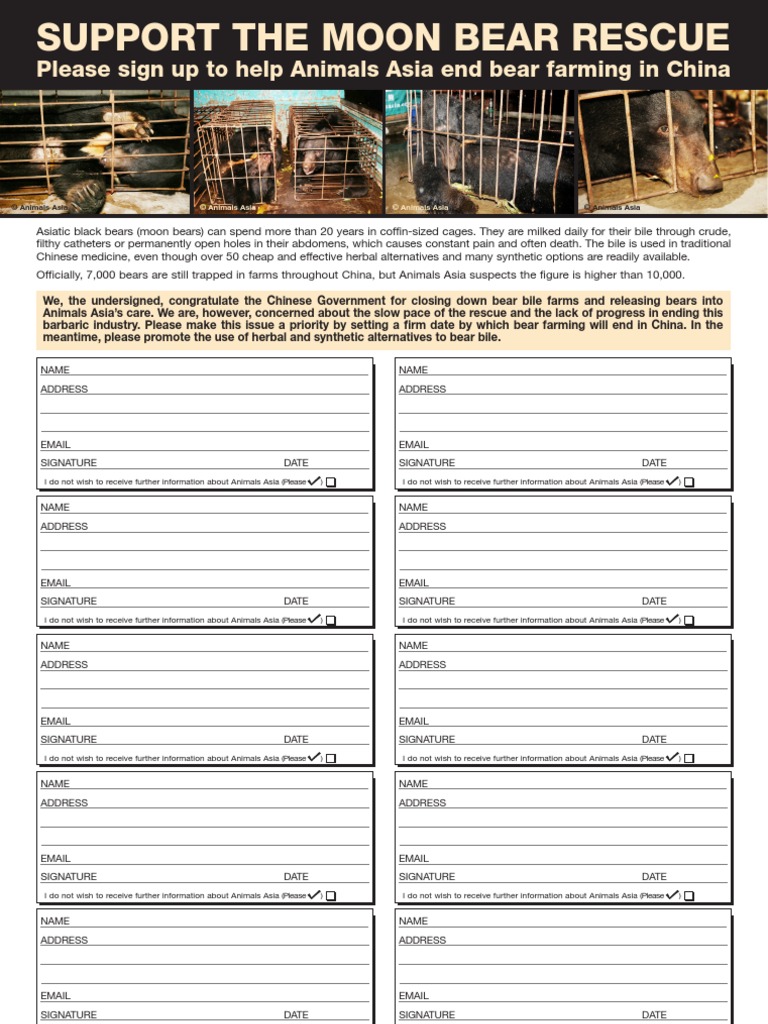 Moon Bear Rescue Petition | Download Free PDF | Carnivorous Animals ...