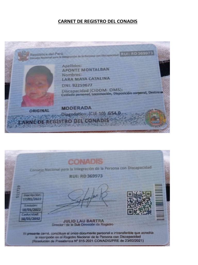 Carnet de Registro Del Conadis | PDF