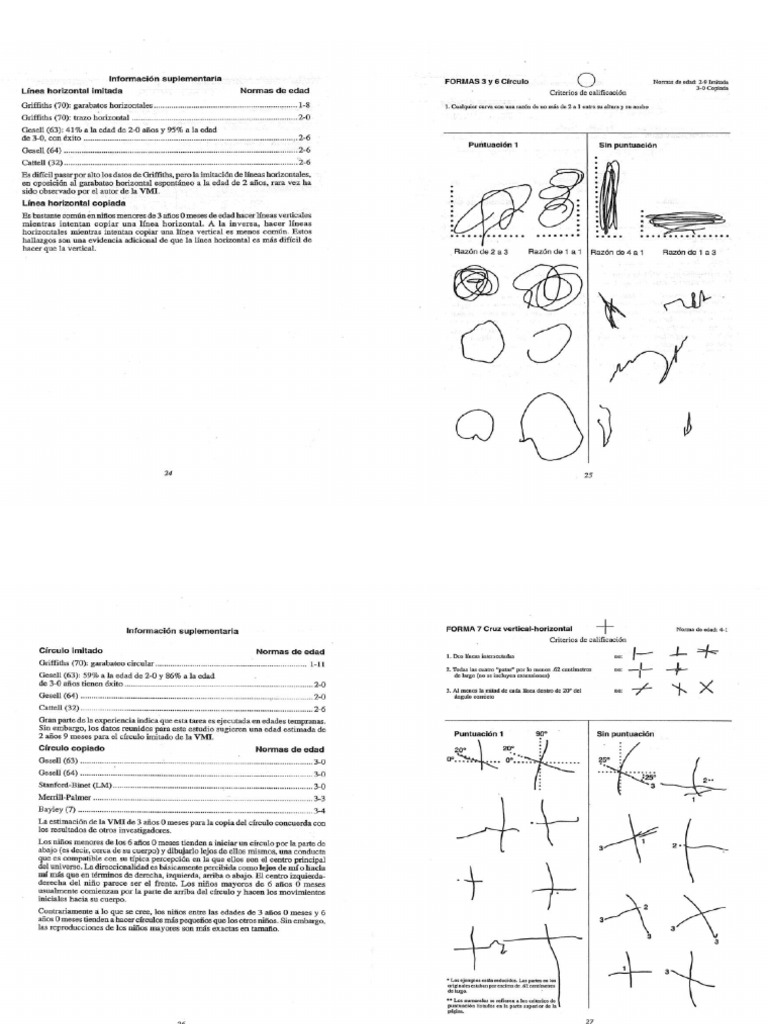 VMI - MANUAL - PDF Versión 1 - Page-0021 | PDF