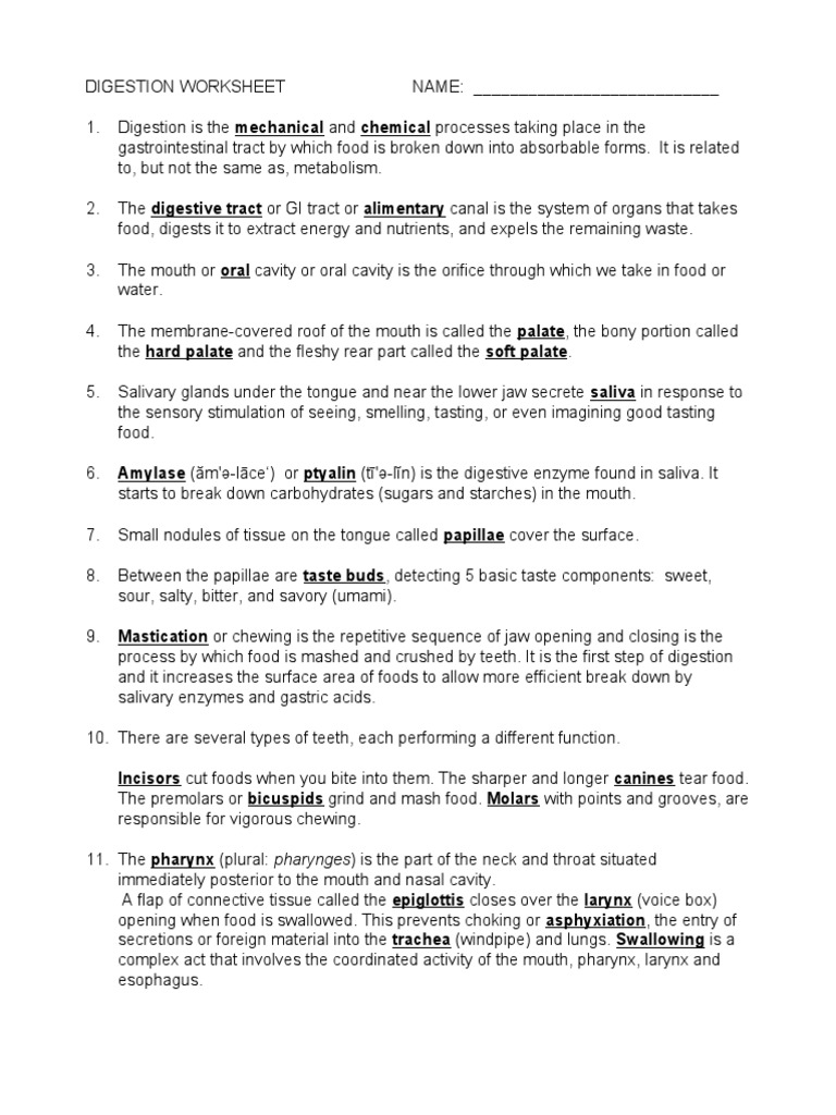 (Ăm'ə-Lāce ) or Ptyalin (Tī'ə-Lĭn) Is The Digestive Enzyme Found in ...